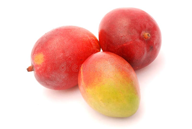 330 Over Ripe Mangoes Stock Photos - Free & Royalty-Free Stock Photos ...