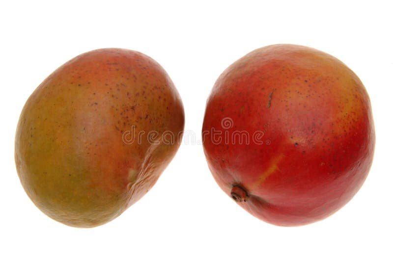 Eight mangoes stock photo. Image of diet, nutrition, fruit - 32391460