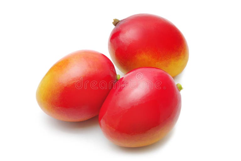 330 Over Ripe Mangoes Hammock Stock Photos - Free & Royalty-Free Stock ...