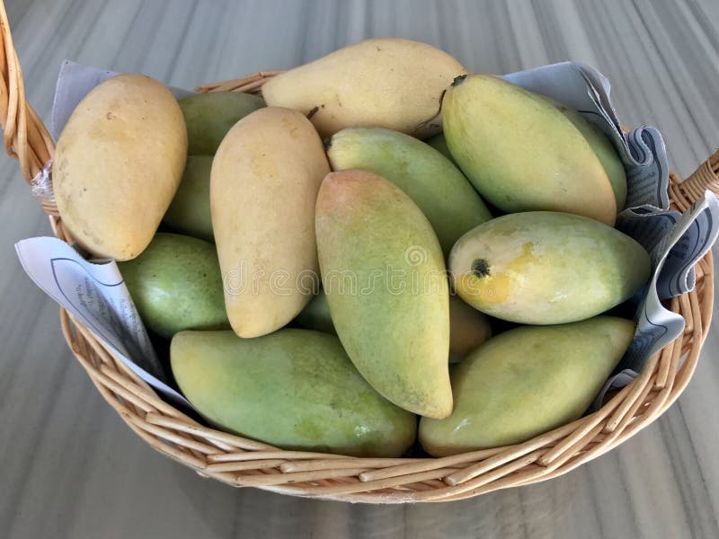 Mangoes stock photo. Image of cuisine, ripe, juicy, organic - 97632872