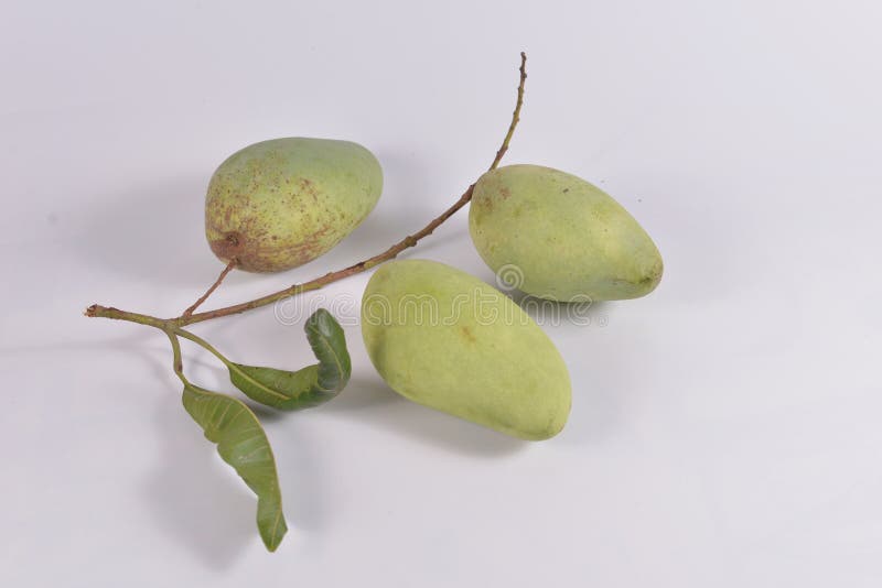 Group of Mangoes stock photo. Image of mango, close - 120488126