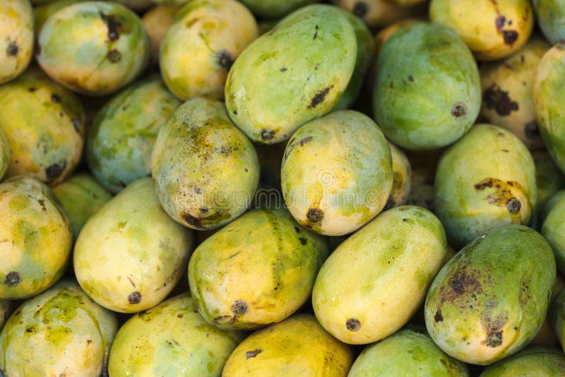 Mangoes at market stock photo. Image of fruit, asian - 19551808
