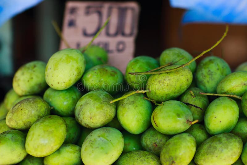 Mangoes at market stock photo. Image of mango, market - 25002138