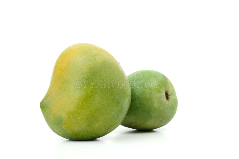 Mangoes Over Isolate White Background Stock Image - Image of tree ...