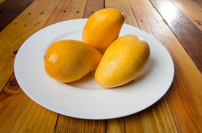 Mangoes on a Plate stock image. Image of plate, indica - 224913