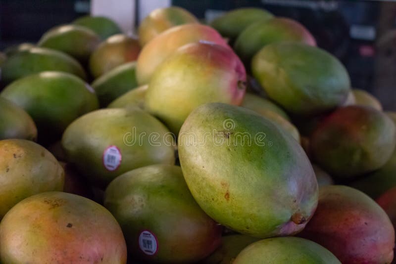 Mangoes at the store editorial photography. Image of farm - 158168597