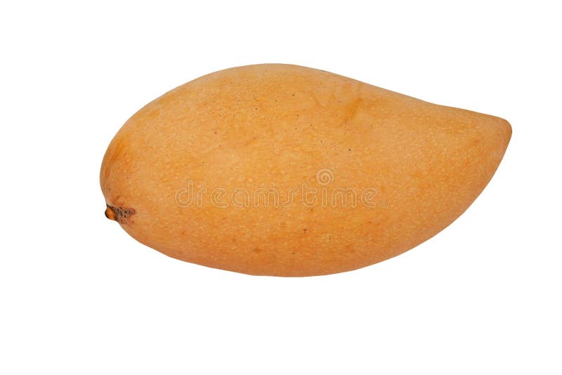 One Yellow Mango with a Curved Shape on a White Background. Stock Photo ...