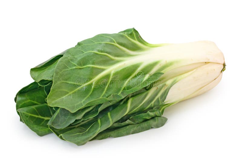 Mangold stock image. Image of seasonal, plants, green - 28881175