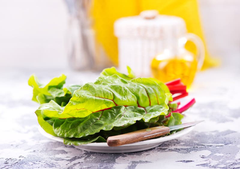 Mangold stock image. Image of natural, ingredient, summer - 94802519