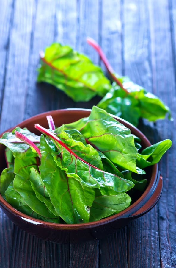 Mangold stock image. Image of seasonal, plants, green - 28881175