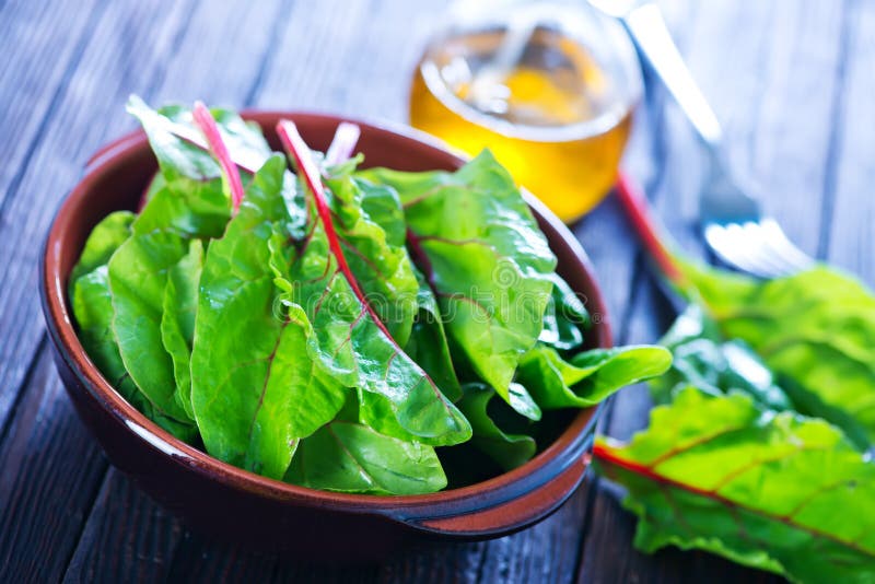 Mangold stock image. Image of seasonal, plants, green - 28881175