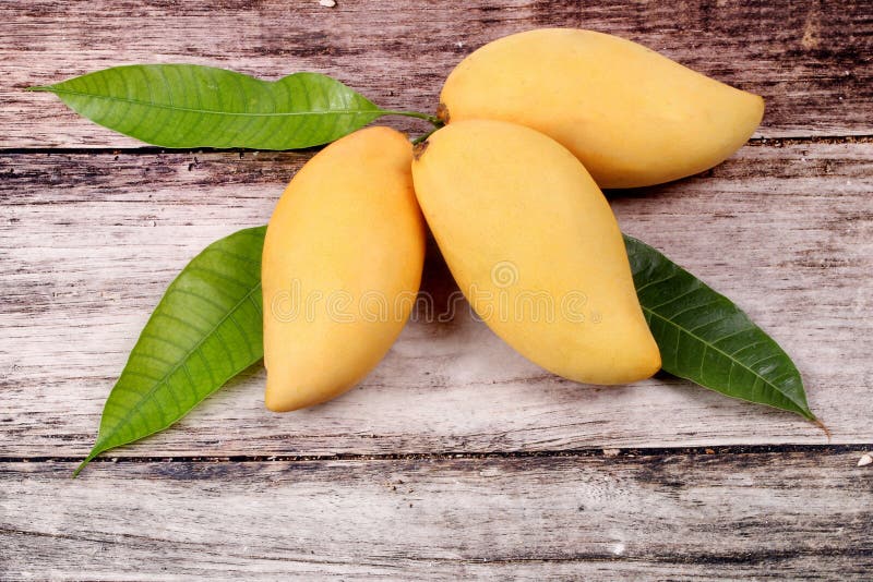 De Oro Maduro, Mango De Mahachanok A Disposición En Fondo Negro Foto de ...