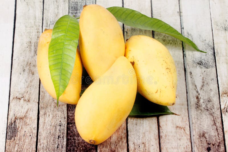 De Oro Maduro, Mango De NuaungCum Disponible En Fondo Negro Foto de ...