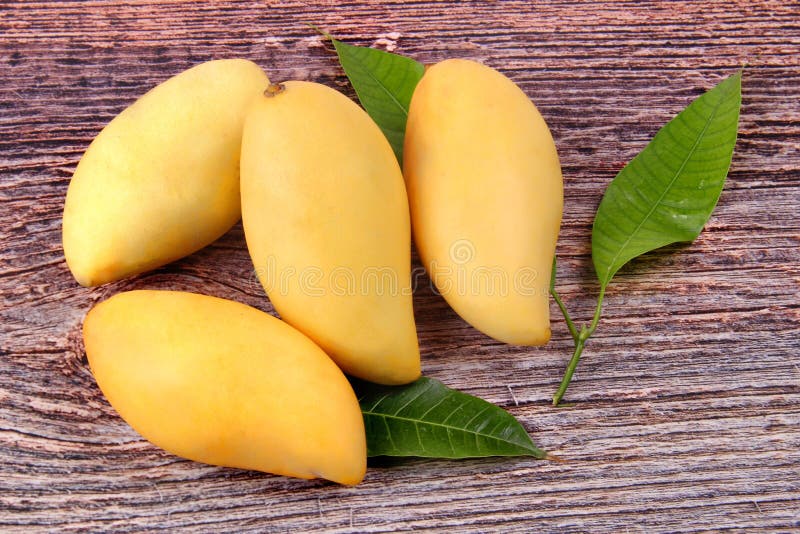 De Oro Maduro, Mango De Mahachanok A Disposición En Fondo Negro Foto de ...