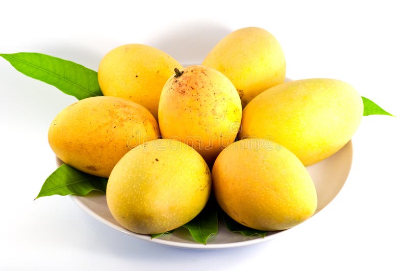 Mangos on dish stock image. Image of mango, citrus, sour - 19288187