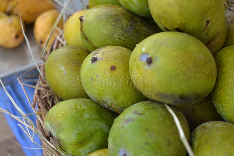 Mangos Indios Esta Es Una Fruta De Temporada Crece En Verano Foto de ...