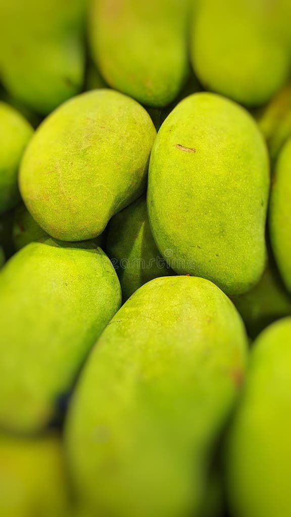 Mango from Java, Indonesia is Fragrant and Sweet in Taste Stock Photo ...