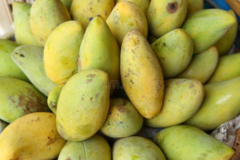 Mangos stock image. Image of ripe, gourmet, vegetables - 30515967