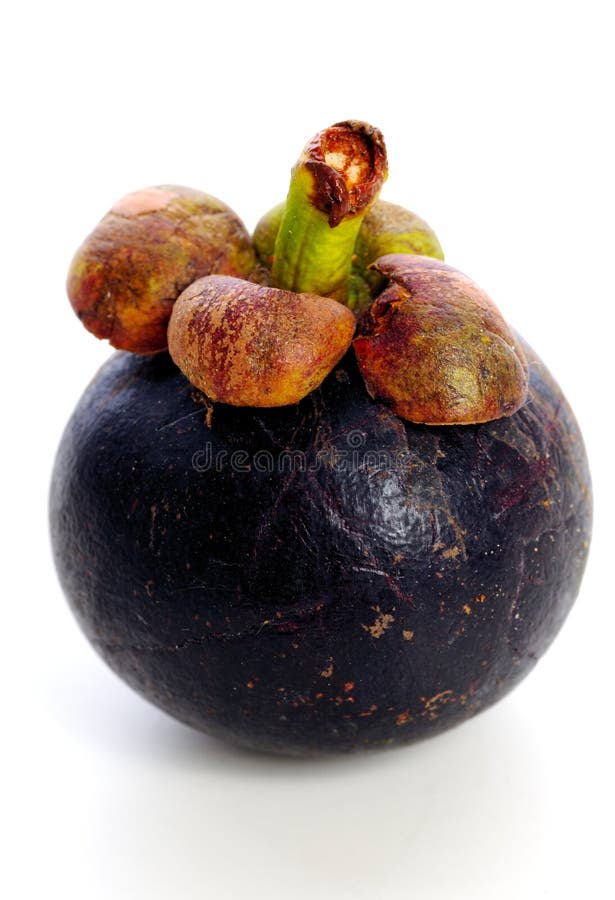 Mangostano fotografia stock. Immagine di sugoso, spesso - 6001236