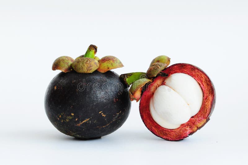 Mangosteen stock photo. Image of nature, assortment, shell - 17917334