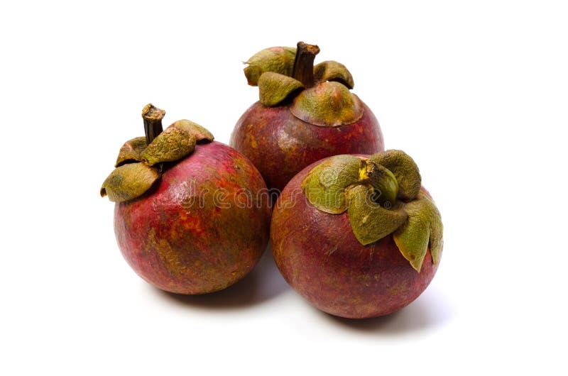 Mangosteen stock image. Image of white, prepared, meal - 26463563