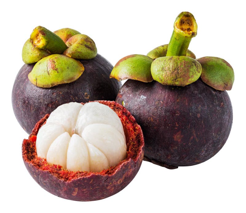 Mangosteen stock image. Image of gourmet, health, mangosteen - 34416445