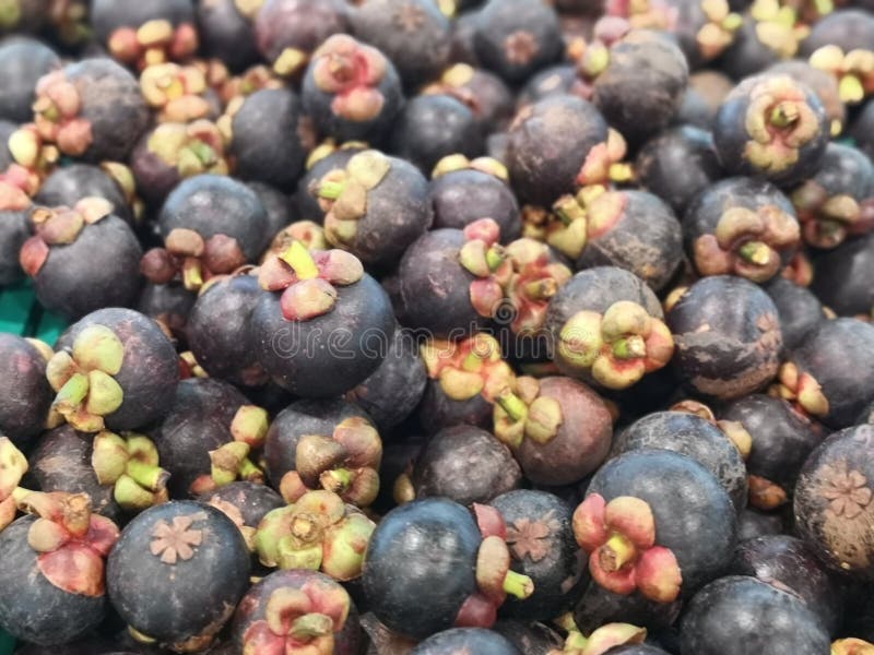 Mangosteen Has a Purple Shell, White Flesh Stock Image - Image of ...