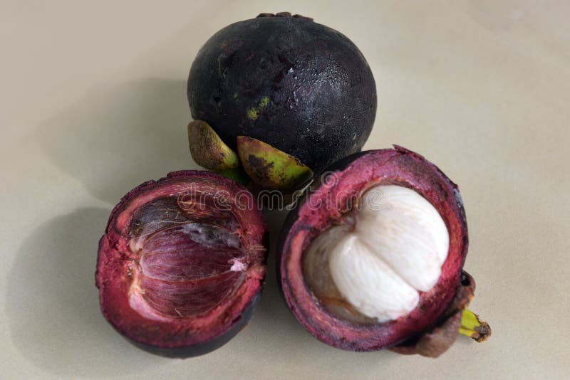 Magnustin Stock Photos - Free & Royalty-Free Stock Photos from Dreamstime