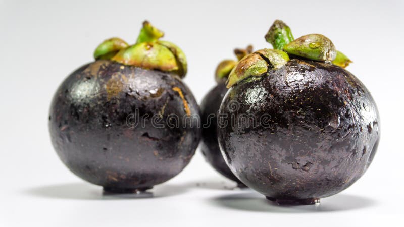 Mangosteen / Mangustan from Asia Stock Photo - Image of healthy ...
