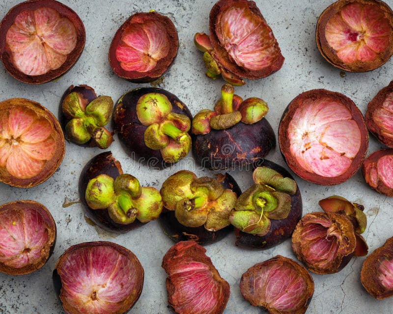 Mangosteen peel Dried. stock image. Image of organic - 277475355