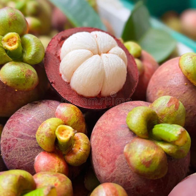 Mangosteen, Mangosteen Pulp, Mangosteen Tree, Raw Mangosteen, White ...