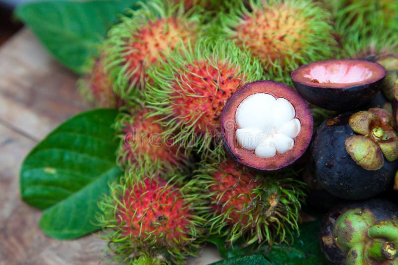 Mangosteen and rambutan stock image. Image of orange - 24855657