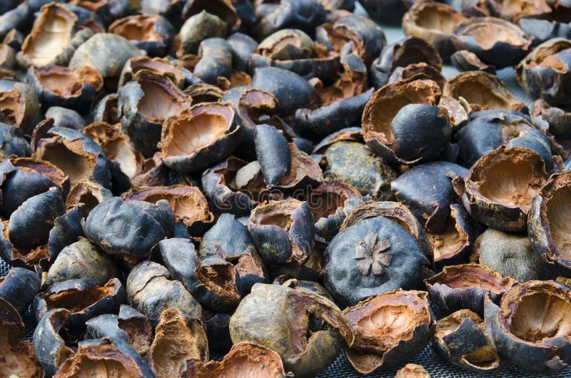 Mangosteen Fruit with Half Cross Section Isolated on Wooden Boar Stock ...