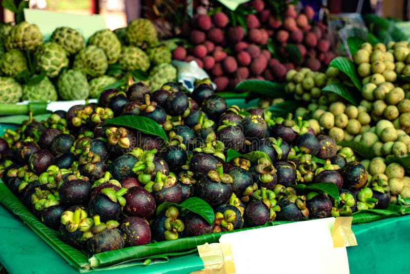 Mangosteen stock image. Image of stall, white, thailand - 122551395