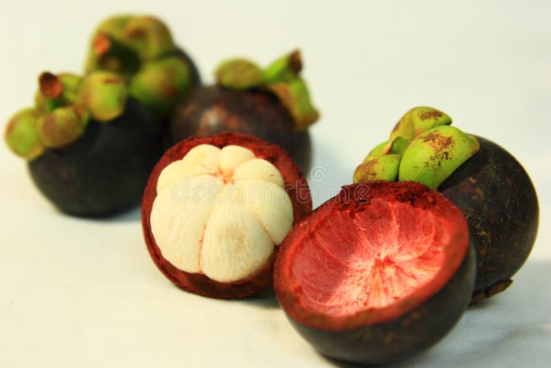 Mangosteen Fruit stock image. Image of healthy, cooking - 10173165
