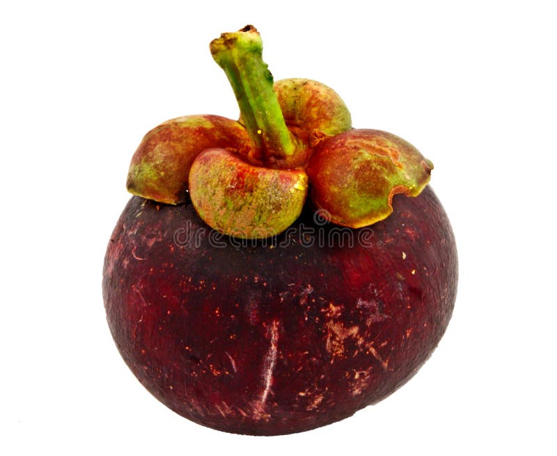 Mangosteens stock image. Image of fruit, mangostana, mangostane - 20018841