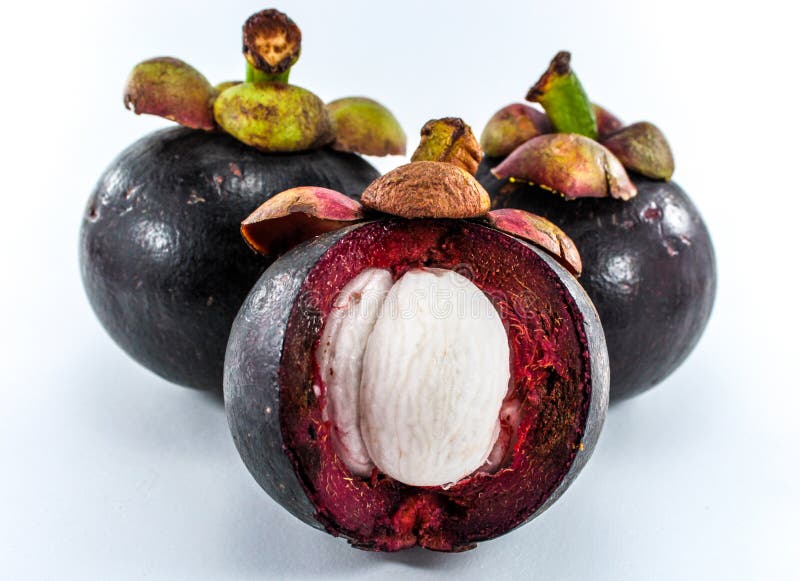 Mangosteens stock image. Image of mangosteen, climate - 31009439