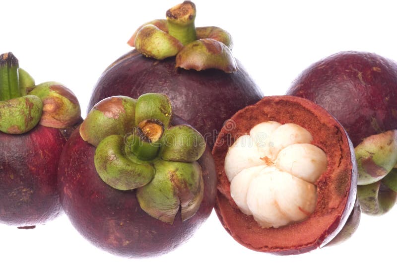 Mangosteens Isolated stock photo. Image of delicious, nature - 9417244