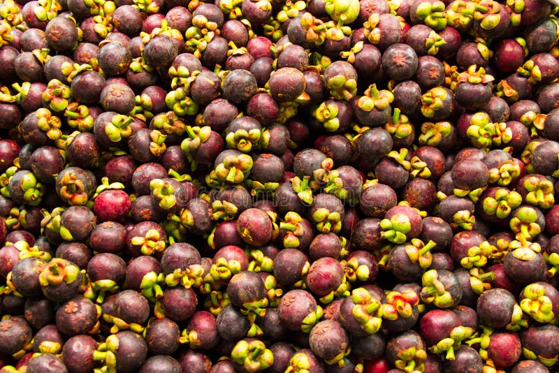 Mangosteens stock photo. Image of garcinia, isolated - 31502432