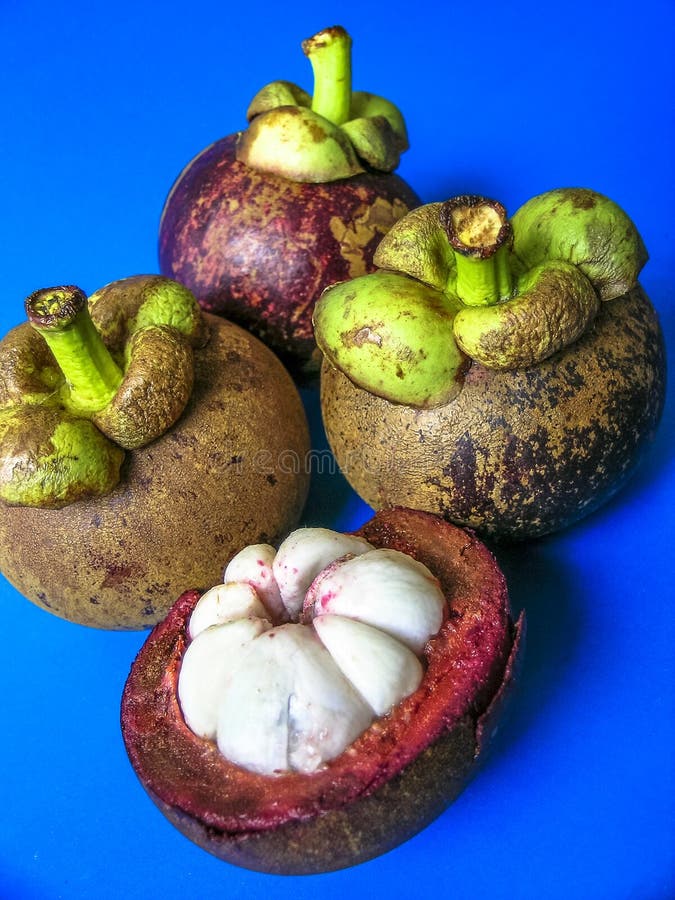 Mangostin stock image. Image of gourmet, dieting, ribeiro - 108972459