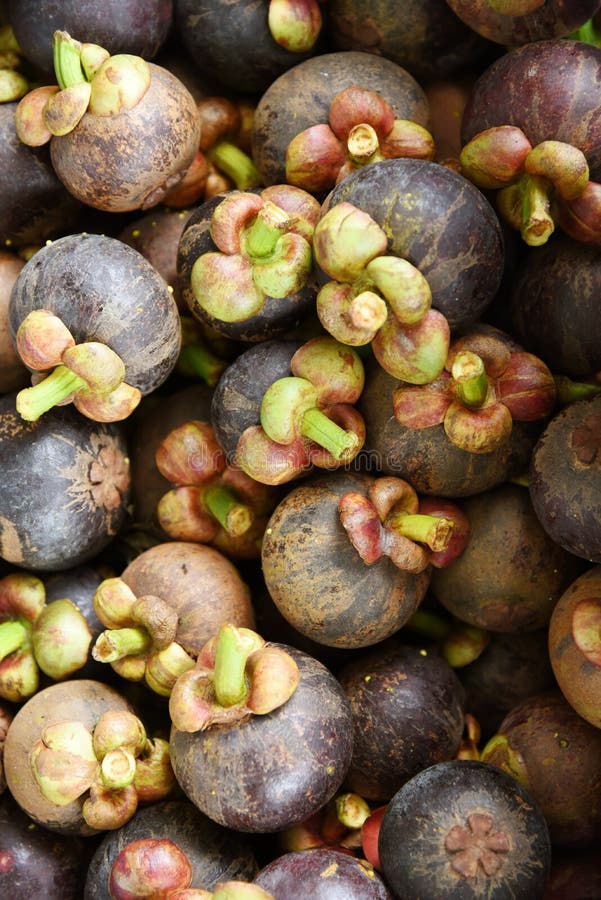 Fruit De Mangoustan En Ventes Photo stock - Image du développez, frais ...