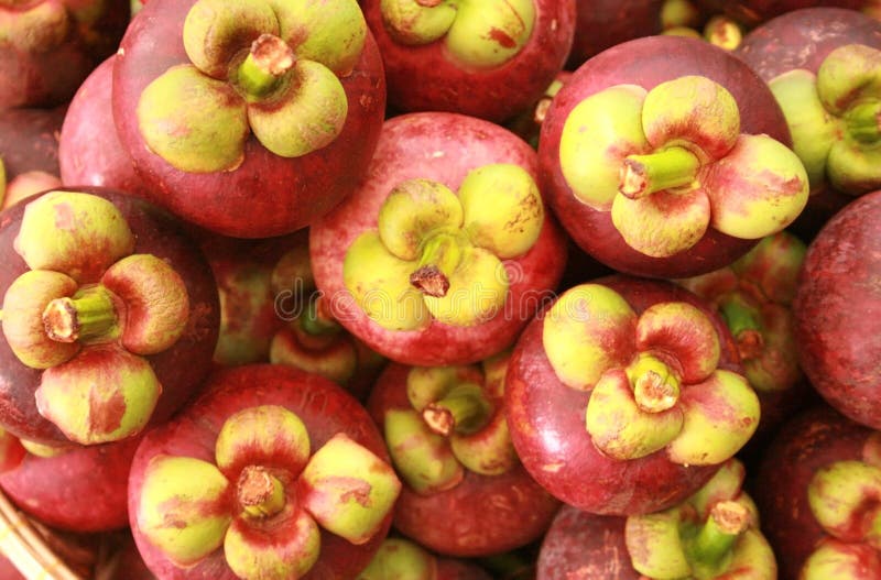 Fruit De Mangoustan En Ventes Photo stock - Image du développez, frais ...