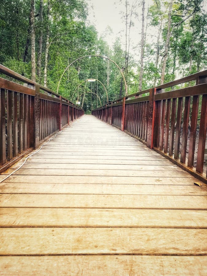 Timika City Stock Photos - Free & Royalty-Free Stock Photos from Dreamstime