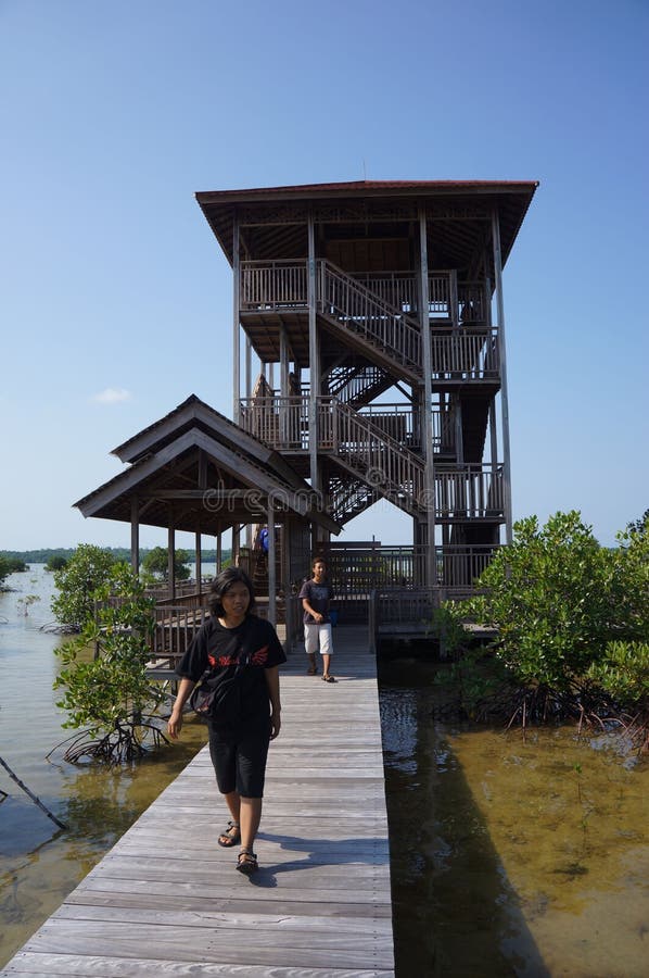 Mangrove editorial image. Image of central, karimun, leisure - 42197815