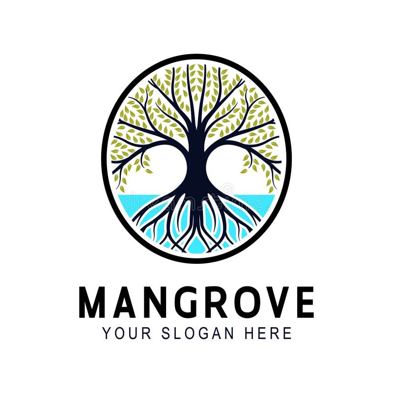 Mangrove Tree Eco Logo Design Concept Vector Stock Illustration ...