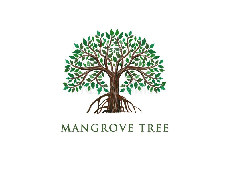 Mangrove Root Stock Illustrations – 383 Mangrove Root Stock ...