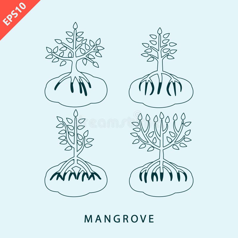 Mangroves Vector Stock Illustrations – 122 Mangroves Vector Stock ...