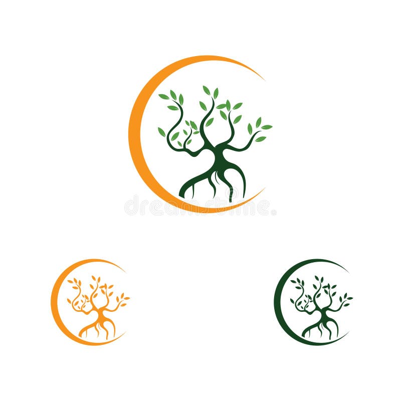 Mangrove Trees and Mangrove Forest Ecology Logo Design Vector Stock ...