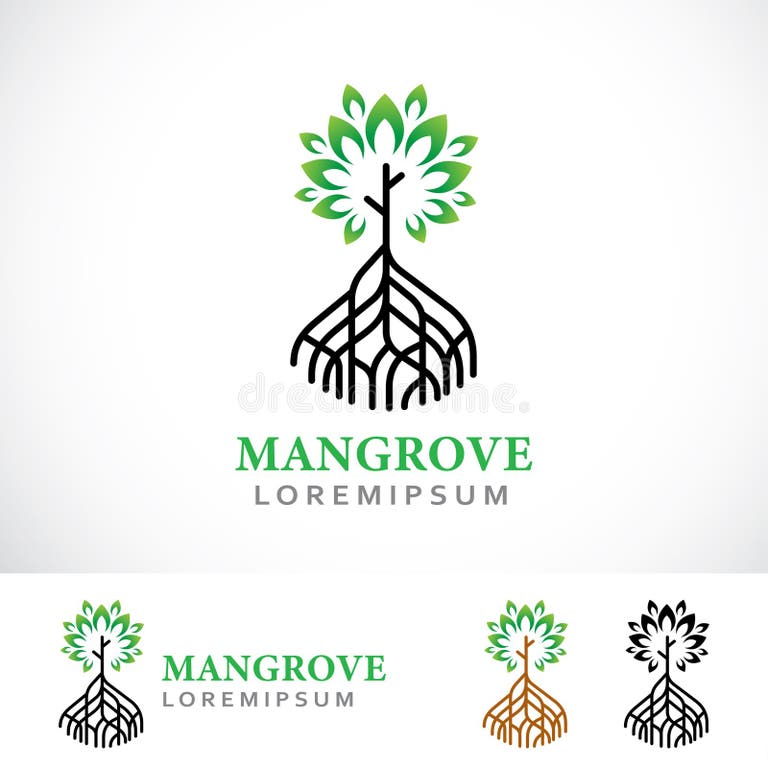 Mangrove Trees Logo Design Template Stock Vector - Illustration of ...