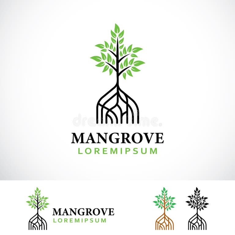 Mangrove Trees Logo Design Template Stock Vector - Illustration of ...